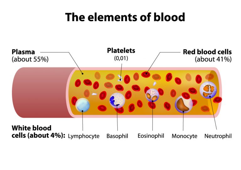 Elements of Blood — Stanford Blood Center