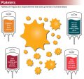 Platelets — Stanford Blood Center