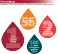 Whole Blood — Stanford Blood Center