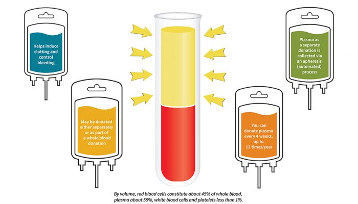 Plasma — Stanford Blood Center