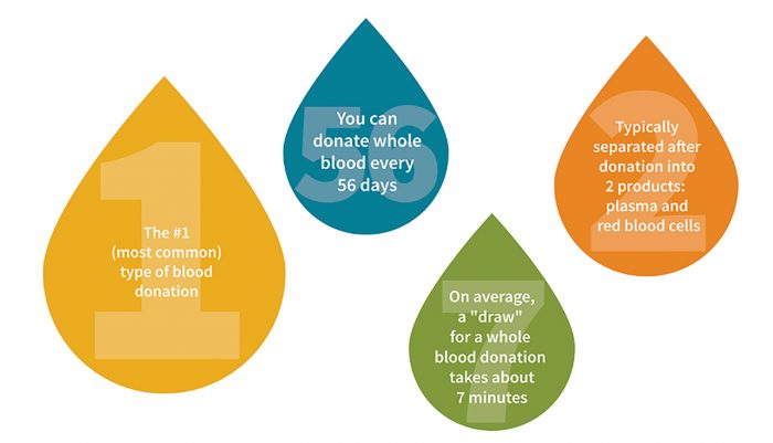Whole Blood Infographic — Stanford Blood Center