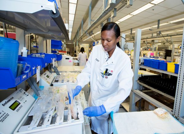 The Technology Behind Blood Donation — Stanford Blood Center