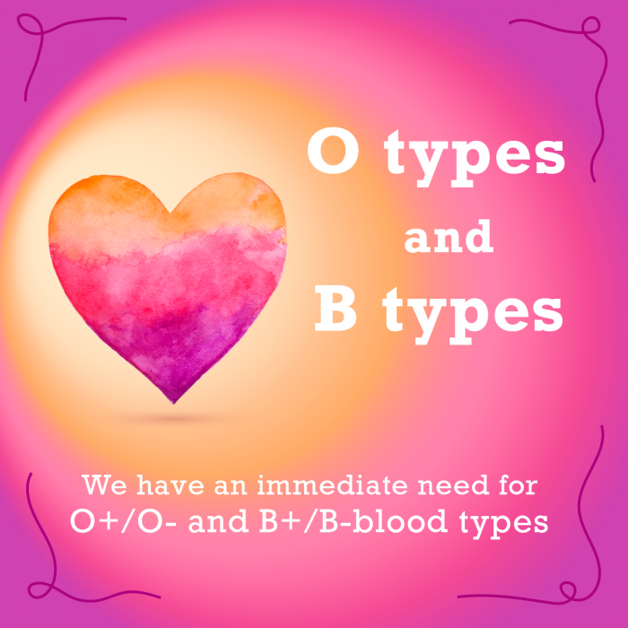 Type O+: Narwhal — Stanford Blood Center