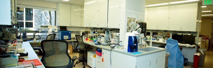 Histocompatibility & Immunogenetics Laboratory (HLA Lab) — Stanford ...