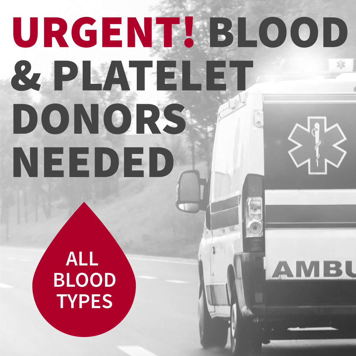 Type O-: Unicorn — Stanford Blood Center